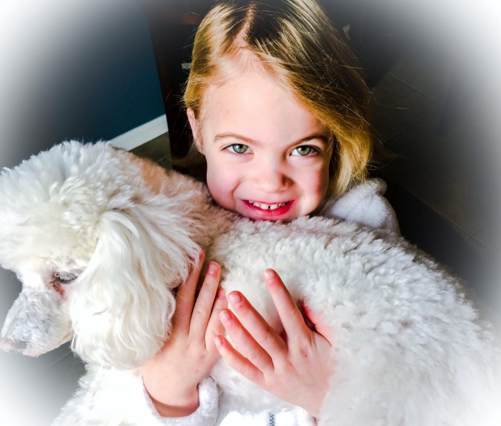 From Jersey With Love | News, Sports, Jobs - Post Journal